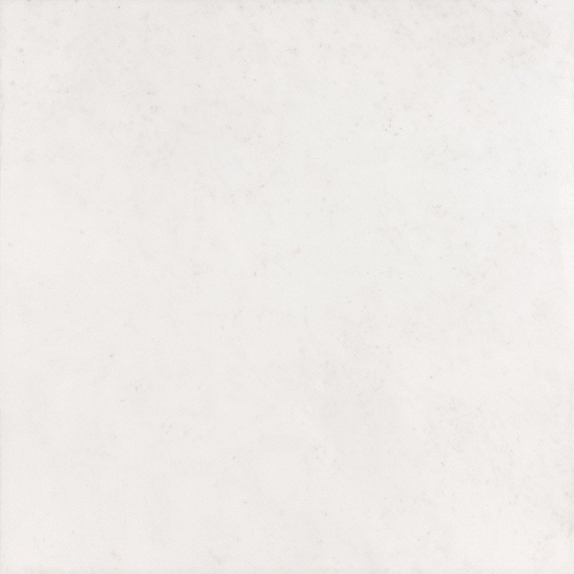 25666E ALPINE WHITE MATTE 60CM RECT